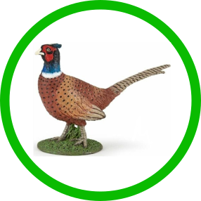 Domácí drůbež a Bažanti - Vyrobeno v EU :: KrmivaHulín