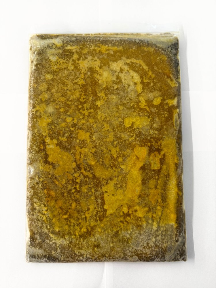 Mysis flat plate - mražené krmivo z drobných korýšů 500 g (zip sáček ...