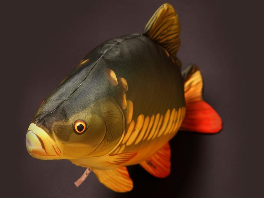 Plyšová ryba Gaby - KAPR LYSEC - 61 cm :: KrmivaHulín