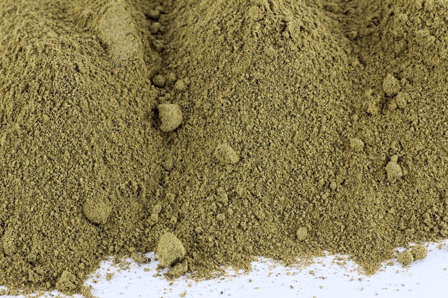 KELPA - Hnědé mořské řasy - pro psy - Vyberte balení: 500 g :: KrmivaHulín