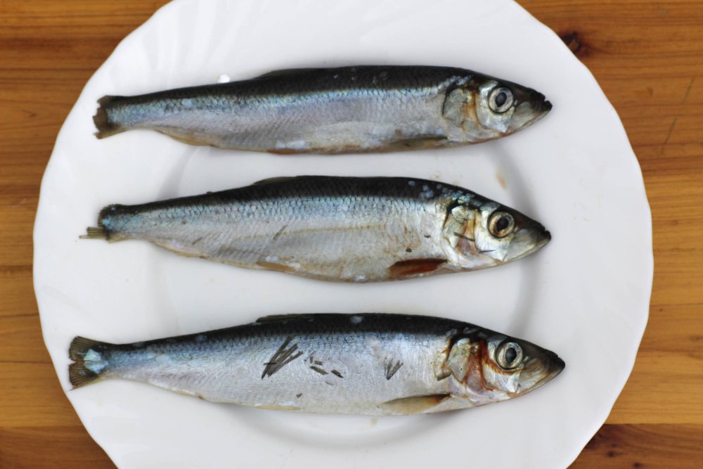 SLEĎ BALTSKÝ CELÝ MINI - Mražené ryby pro psy - 15 - 20 cm - Vyberte ...